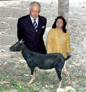 Ampun Tuanku Jilat Jubur Aku