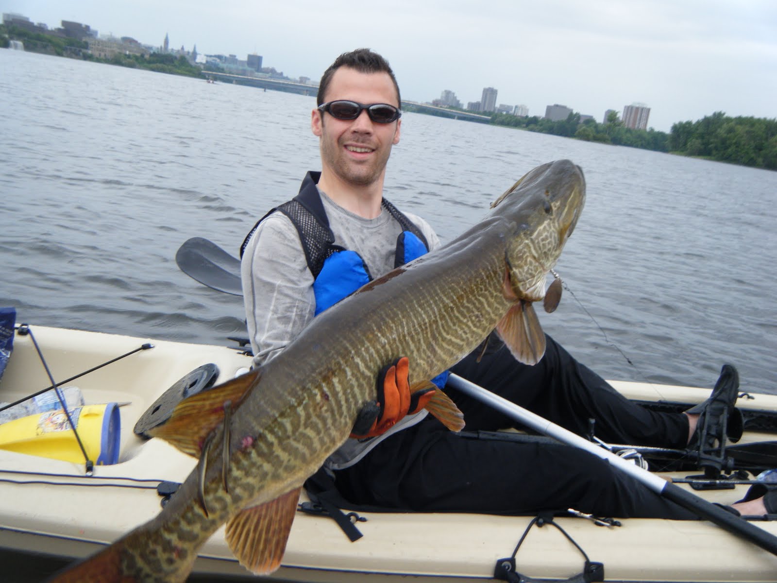 Bite My Lure !: Massive Tiger Musky