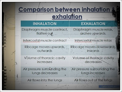 PANITIA SAINS SBP INTEGRASI GOPENG: SCIENCE FORM 3: RESPIRATION