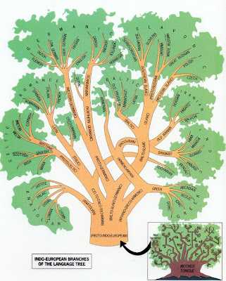 A Walk in the WoRds : An Illustrated Language Tree