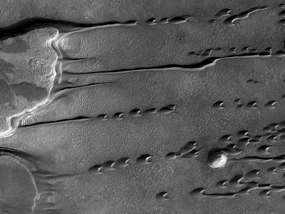 OBSCURED CLARITY: Barchan Dunes on Mars and Earth
