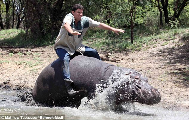 A Man Developed a Friendship with Hippo | Amazing Creatures