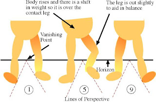 Awath Animation: Walk Cycle Researrch