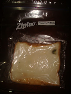 Mould on bread: Day 3 - Observation