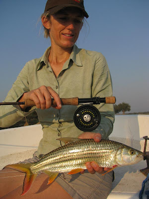 Karisia Walking Safari Blog: Flyfishing For Zambezi Tigerfish: Zimbabwe ...