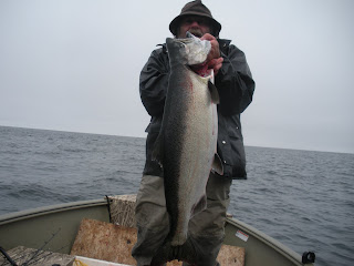 PAT NEAL WILDLIFE: A sad salmon situation