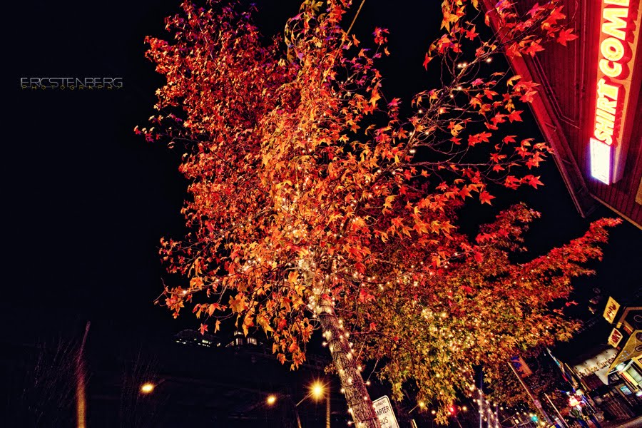 Eric Stenberg Photography: Seattle Photography -- Eric Stenberg Photography