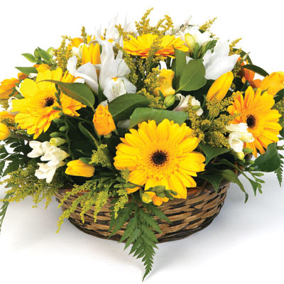 flowerbokay: FLOWER BOKAY