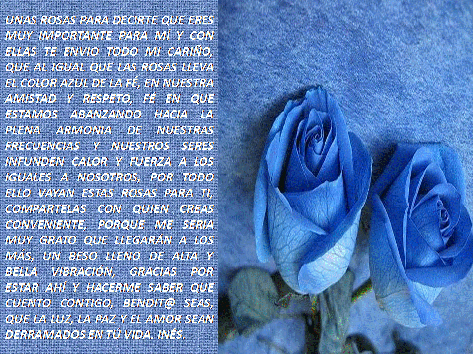 ROSAS DE AMOR AZULES - Imagui