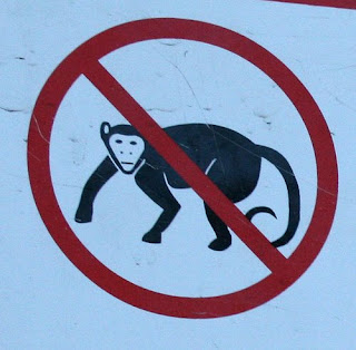Malicestory and Worchestershiresauce: No Monkeys Allowed!