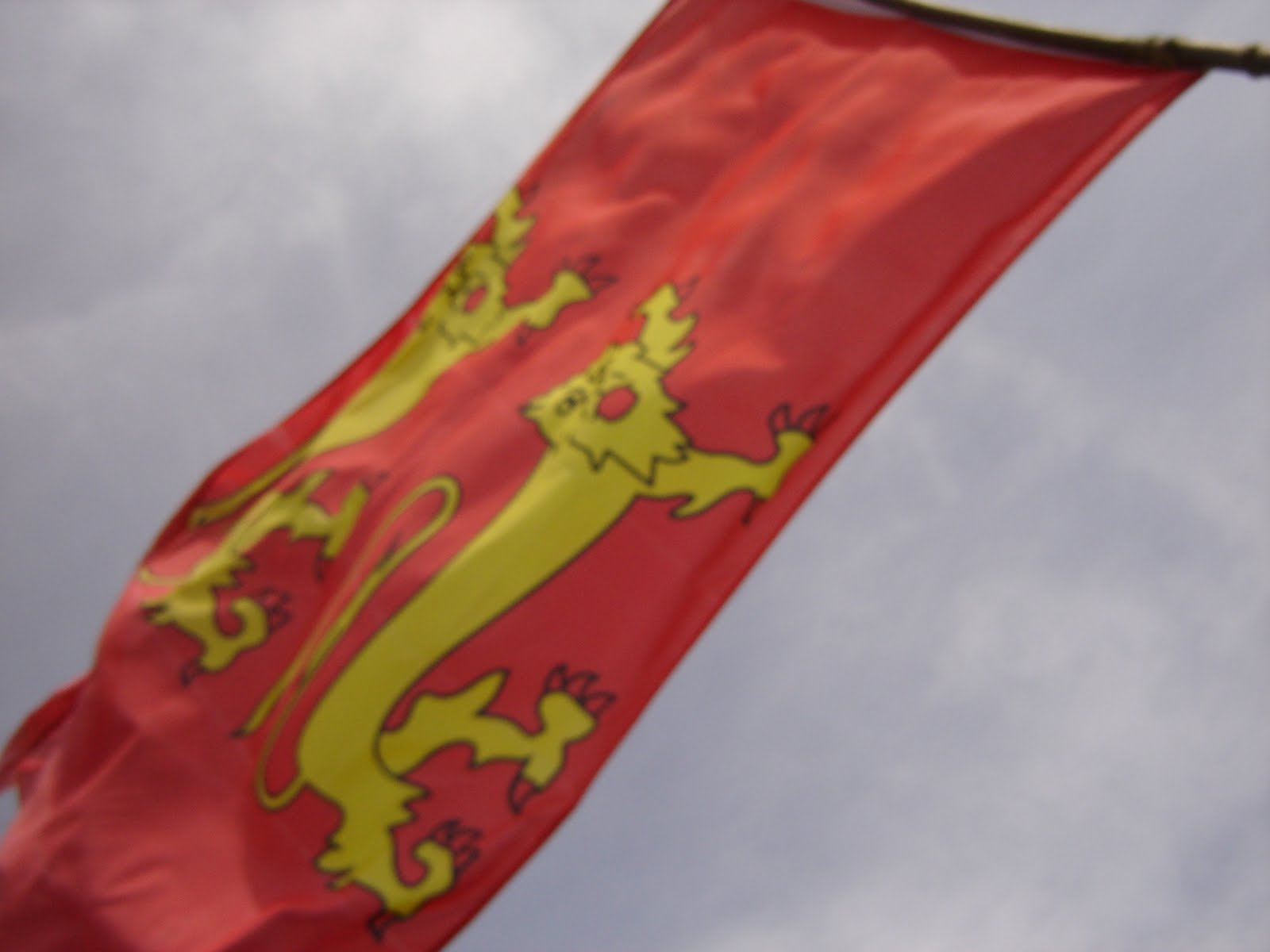 SEEING: MEDIEVAL FLAGS