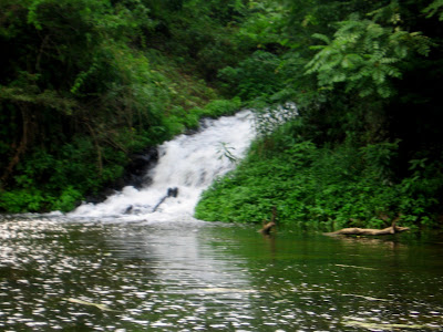 Southeastern Fly: Elk River TN Fly Fishing