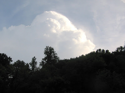 Southeastern Fly: Elk River TN Fly Fishing