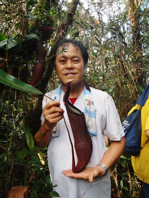 Travelling around Malaysia or Trekking the Mountains of Malaysia ...