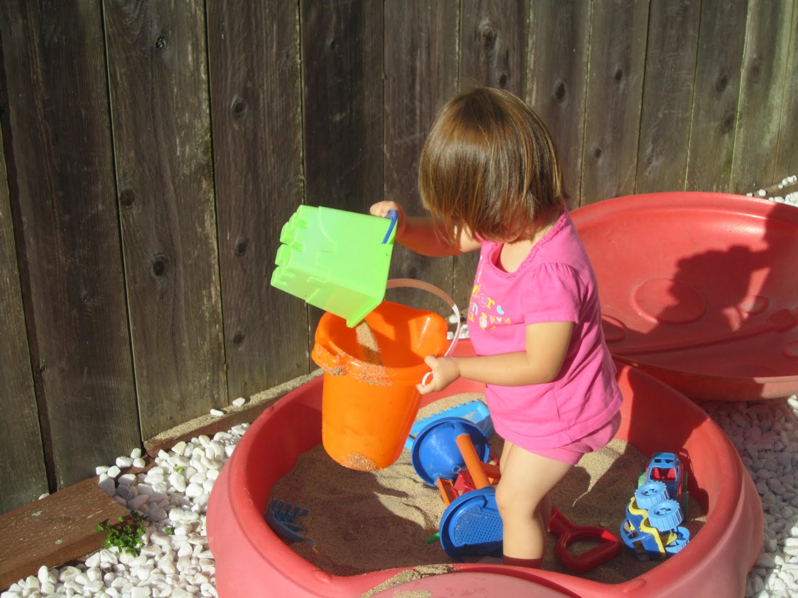 The Kos: Potty Training