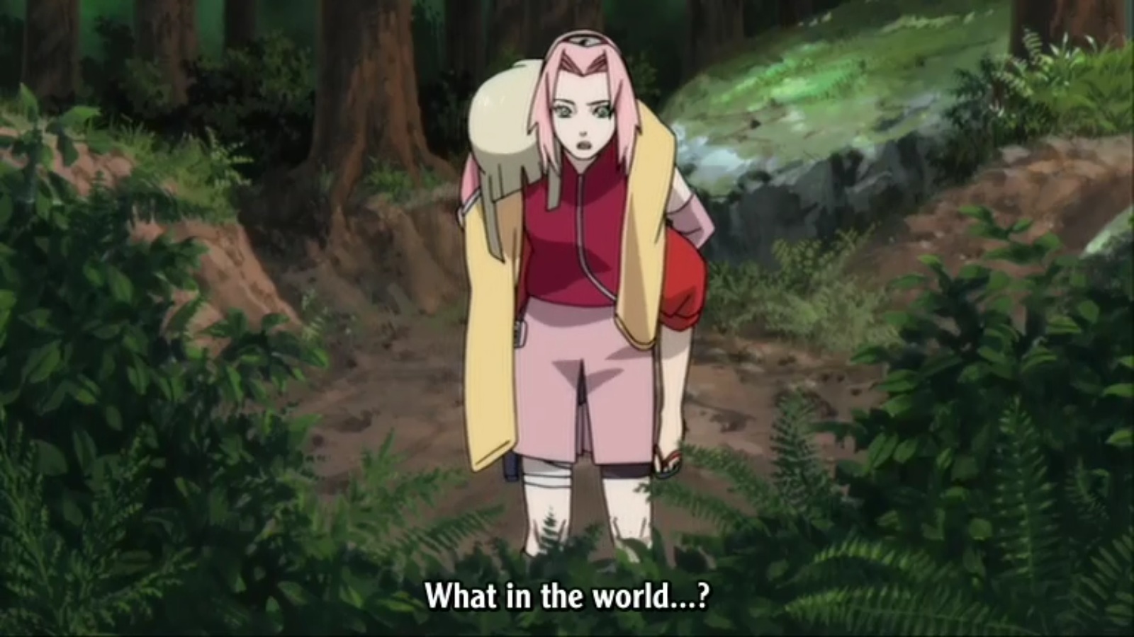 Anime Picture Collections: Naruto: Shion (Mega-Bonus)