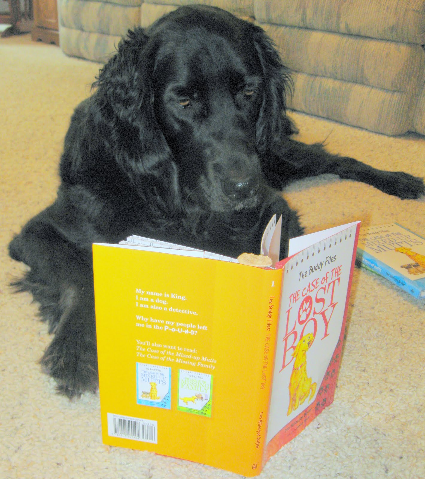 Guest Post: Dori Hillestad Butler on The Buddy Files - Cynthia Leitich ...