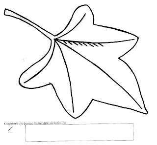 Maternelle: Graphisme : les nervures de la feuille
