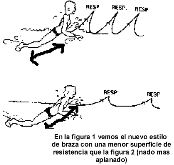 Natacion: LOS ESTILOS DE NATACION