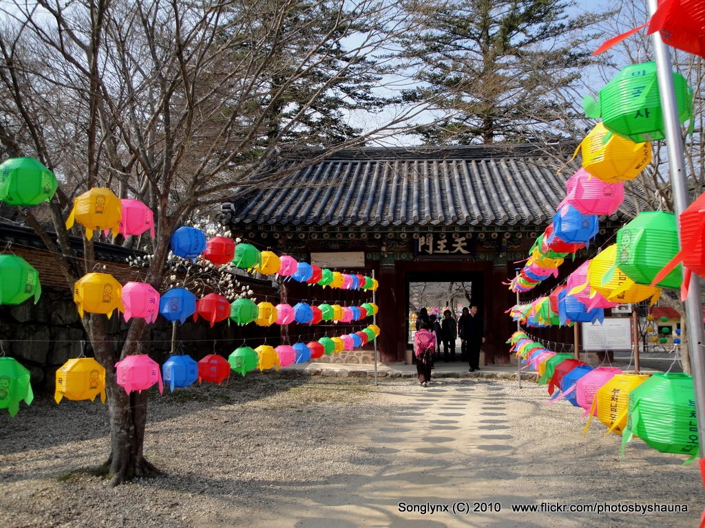 Shauna in Korea: Monk for a Day at Magoksa