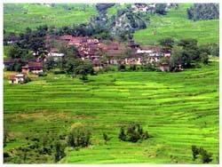 Environment and our world.: Terai Region