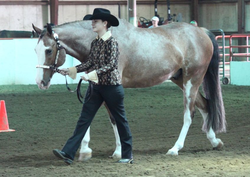 Diary of the Overanxious Horse Owner: New Showmanship Jacket???