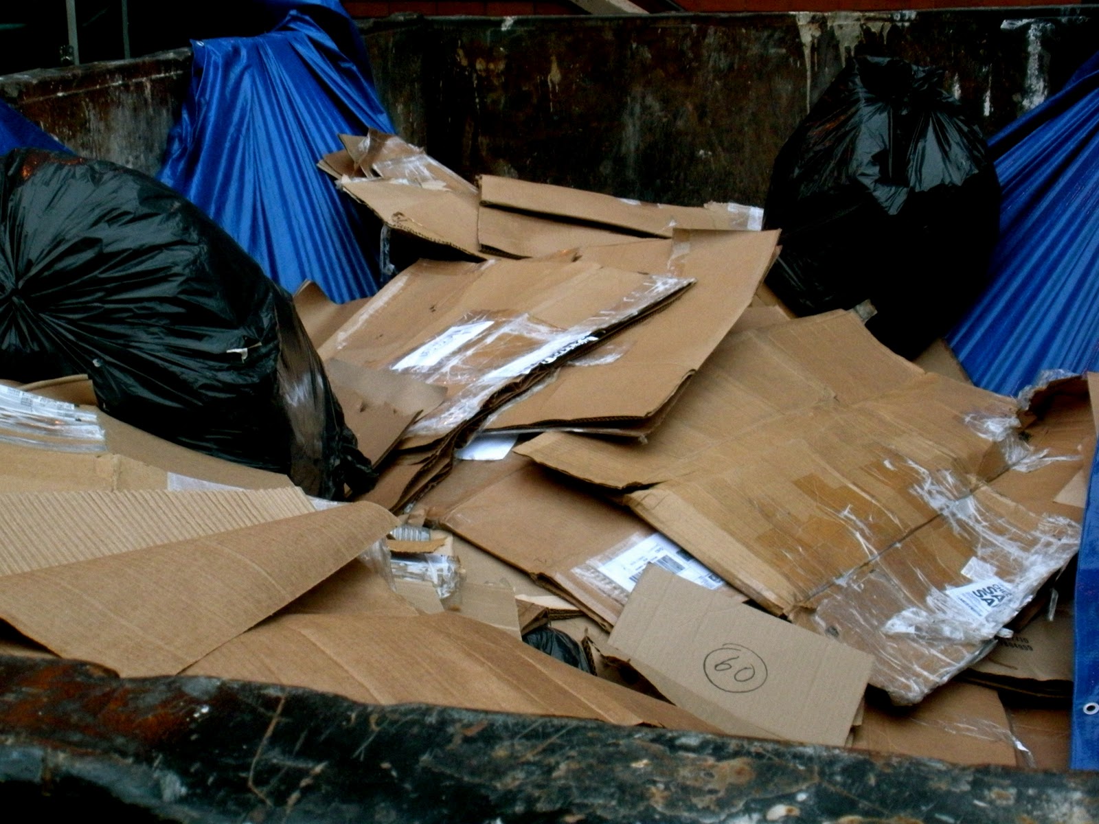 Cleaner Boston: Alley Trash