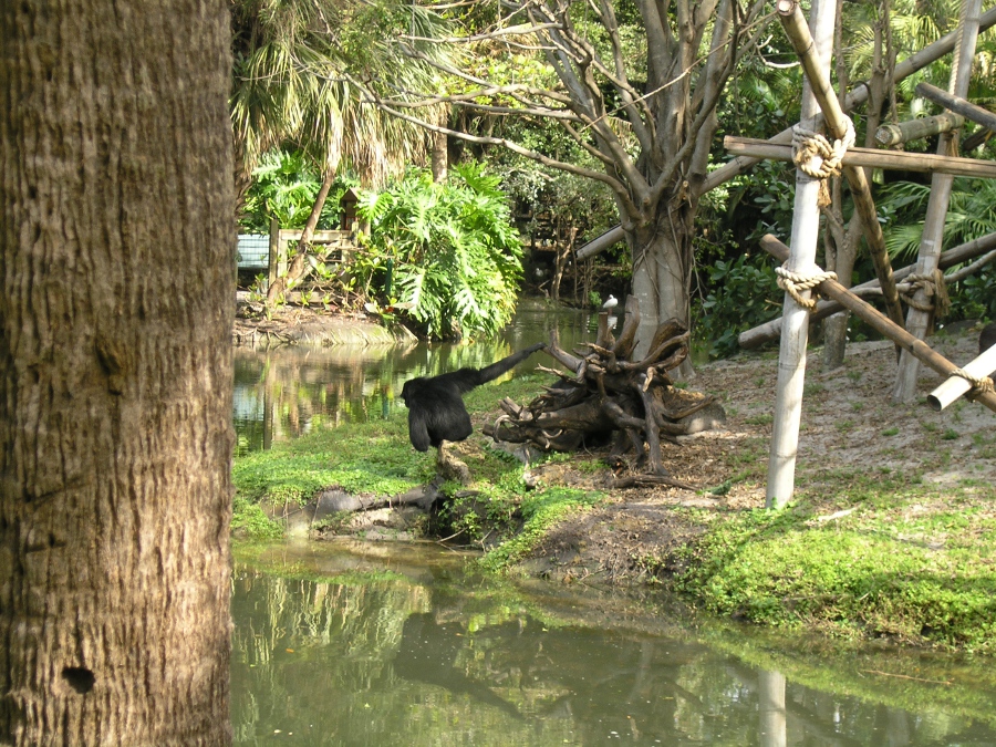 Keeping up with Kids: The Palm Beach Zoo is a Hidden Wonderland