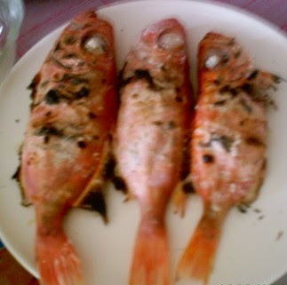 What I miss the most.....