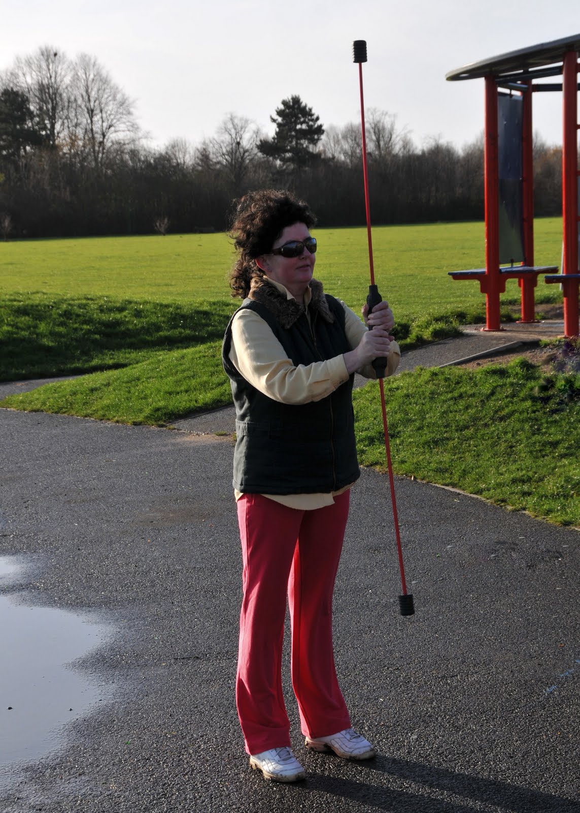 Natural Health and Fitness Expert: Swing Stick Flexible Bar