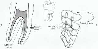 ONLINE DENTISTRY: 12/05/09