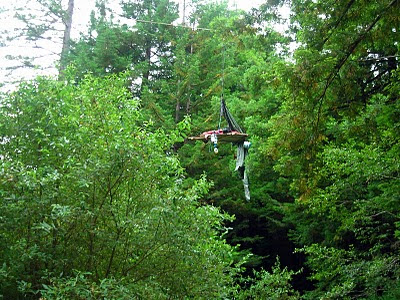 Forest Defender's Blog: Breaking News: Road Blockade in Jacoby Creek