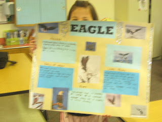 40 Students,1 Teacher, 100 Days of Writing: Animal Projects by the ...