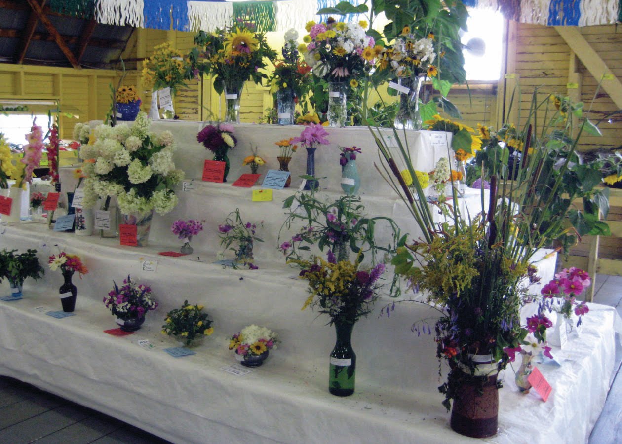 Cherry Pie: The Good Old County Fair!