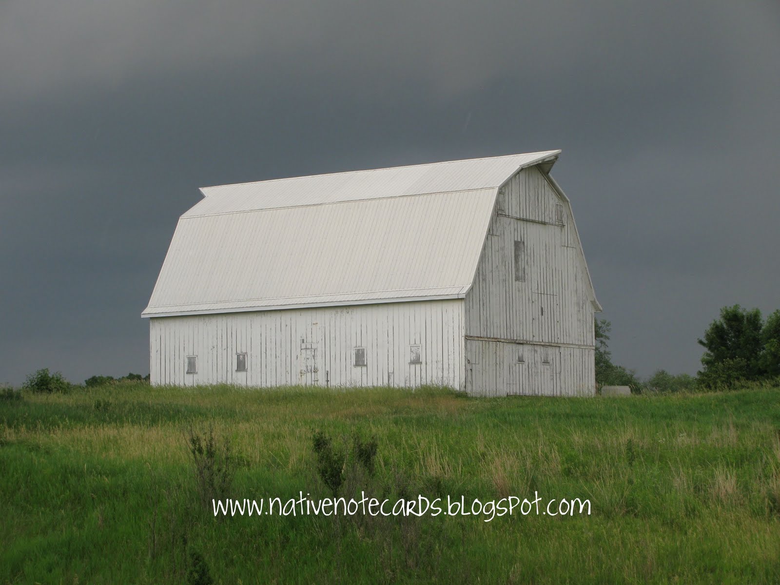 Leslie Green Photography