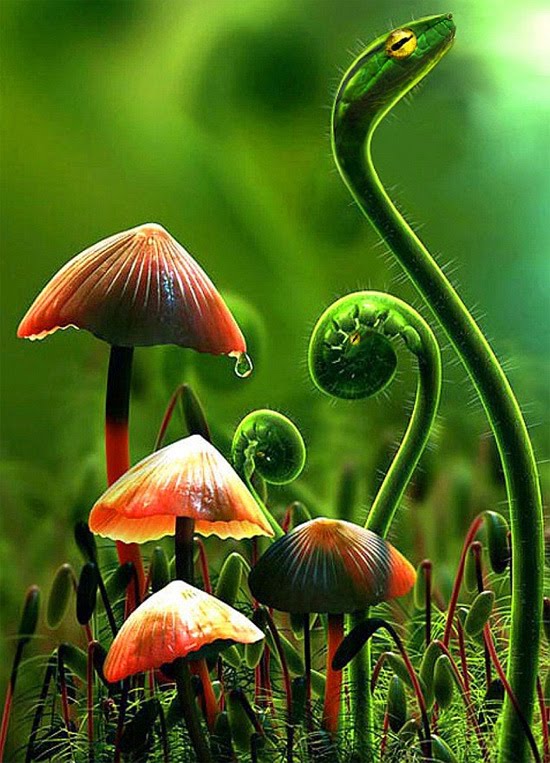 Fun on Blog: Photoshop Creations