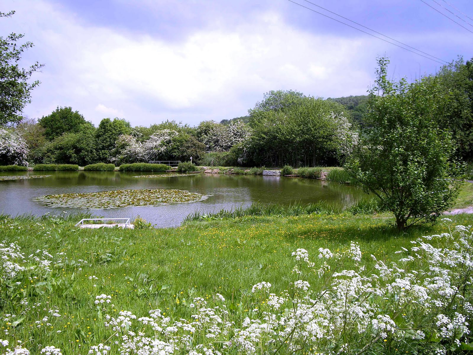 Walt Disney's Story Of Robin Hood: Wellow May Day
