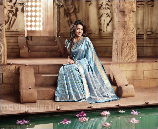 Trisha Pothys Saree Ad Photos, Stills, Gallery Trisha in saree for Pothys