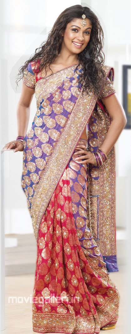Dusky Nayanthara Sexy in Saree Photoshoot - Hot PHOTOSHOOT Bollywood ...