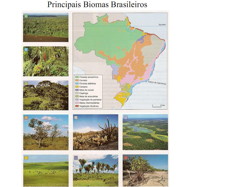 Biomas: BIOMAS DO MUNDO