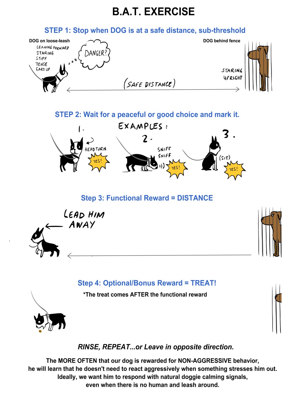 The Vanya Project: leash reactivity