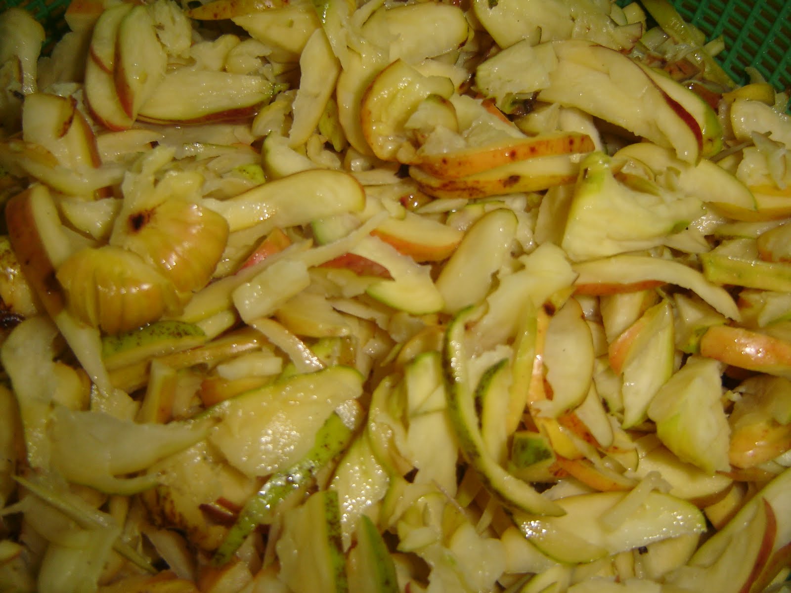 ~ CHUKAI WITH LOVE ~: Jambu Golok @ Gajus