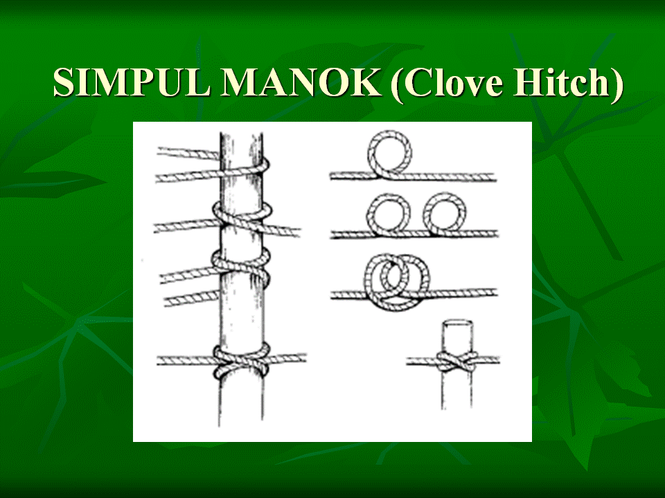 PANITIA PENDIDIKAN JASMANI & KESIHATAN SKTDH2: JENIS IKATAN / KNOT