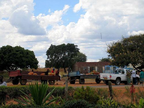 The Globe Newspaper: COMDEV HAILED FOR SPONSORING FASHION SHOW IN KATETE