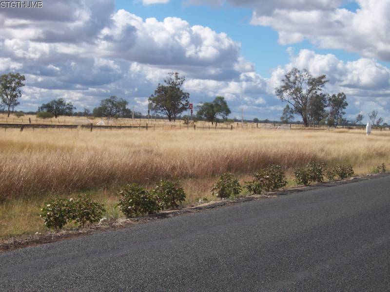 4 pedals & 4 paws: Goondiwindi to Bungunya