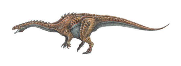 Occhi fragile: Huevos de dinosaurio