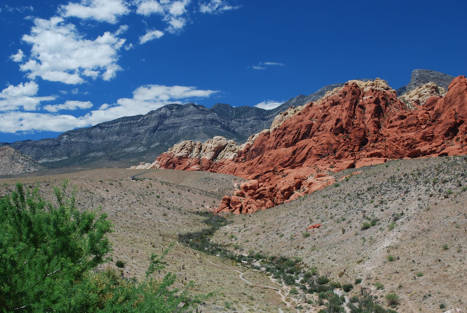 desertsouthwest: Red Rock Canyon, NV
