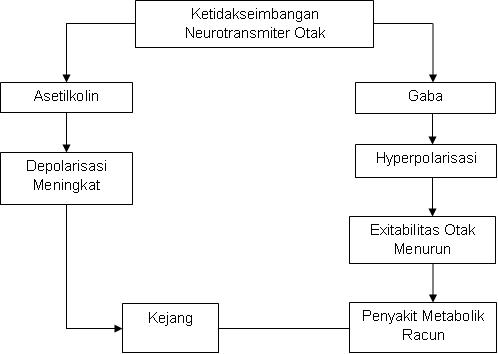 Asuhan Keperawatan Epilepsi ~ Perawat Status Ku