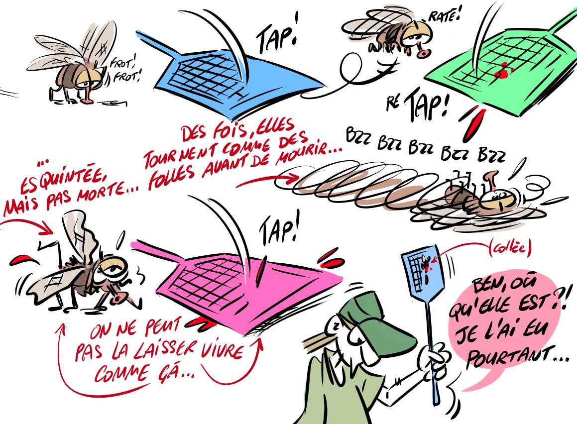 TRAIT PORTRAIT: La mouche et la tapette...