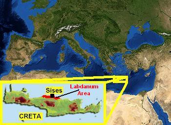 Λάβδανο ή Λάδανο ή Αλάδανος : Το Μύρο της Βίβλου .: ΠΕΡΙΟΧΗ ΑΛΑΔΑΝΟΥ ...